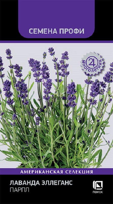 Семена цветов Профи лаванда Элеганс Парпл 10 шт, для дачи, сада, огорода и на рассаду