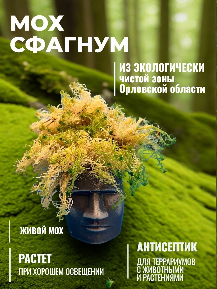 Сфагнум живой мох для террариумов, флорариумов, орхидей, мокриц и улиток (2 литра). Экологичный сбор, Орловская область