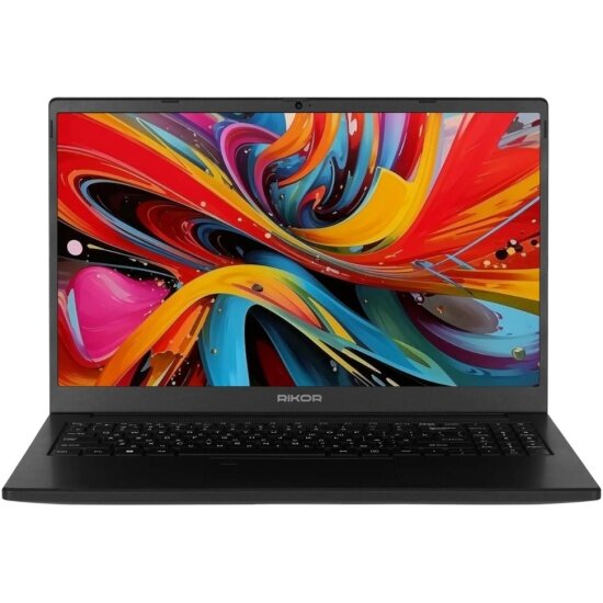 Ноутбук Rikor NINO 201.1 15.6", IPS, AMD Ryzen 3 5425U 2.7ГГц, 4-ядерный, 8Гб DDR4, 512Гб SSD, AMD Radeon Graphics, Windows 11 Pro, черный (BAAFD183)