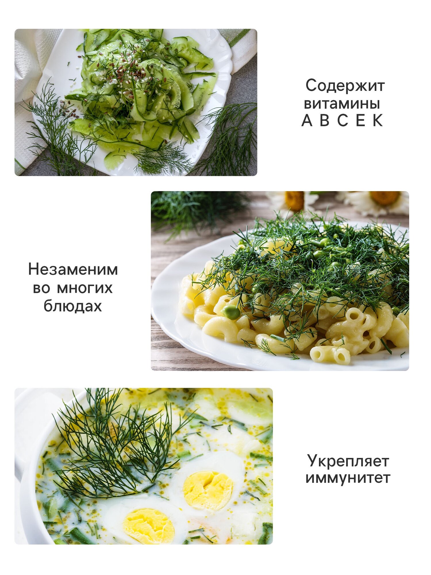 Семена Укроп «Сари» 2 г — фото 1