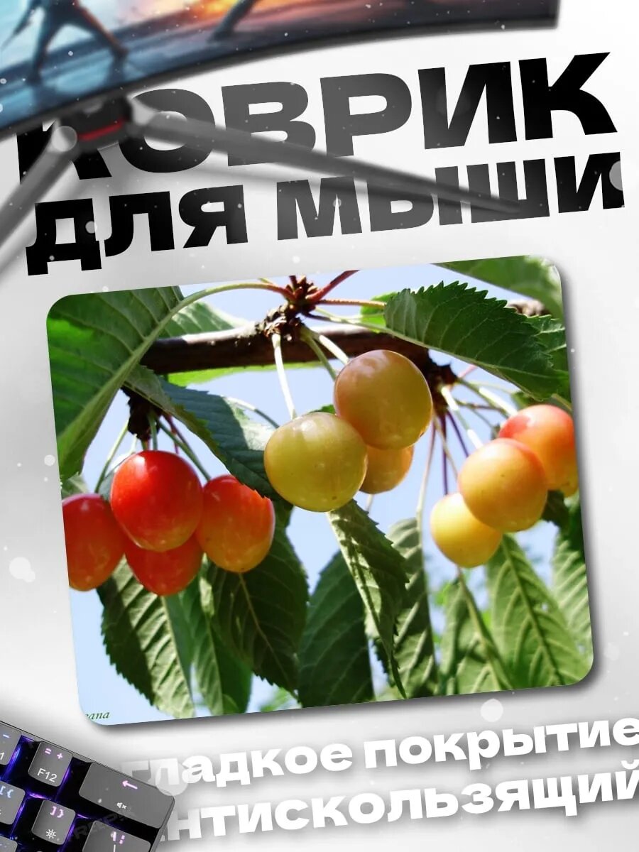 Коврик для мыши Спелая вишня на ветке