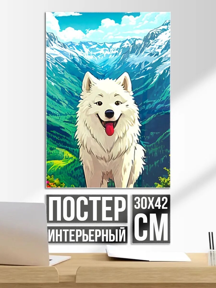 Постер на стену Самоед летом в горах