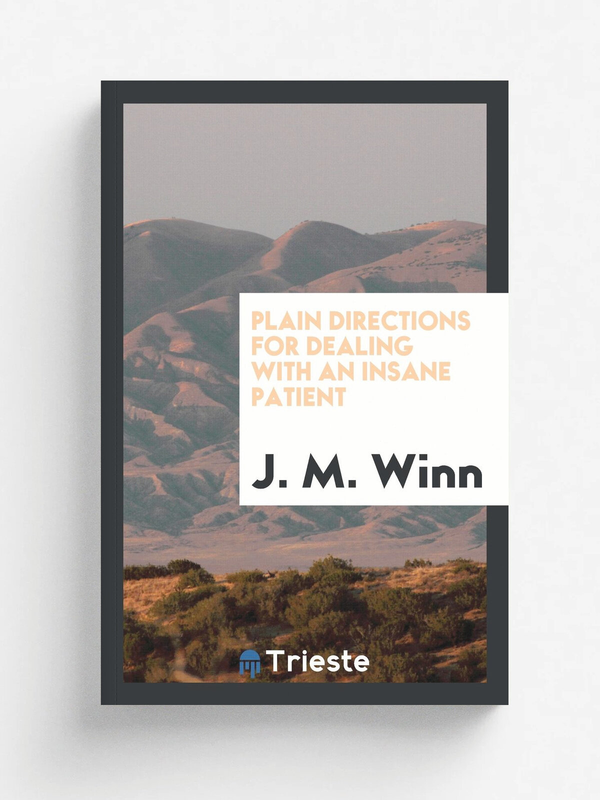 Plain Directions for Dealing with an Insane Patient