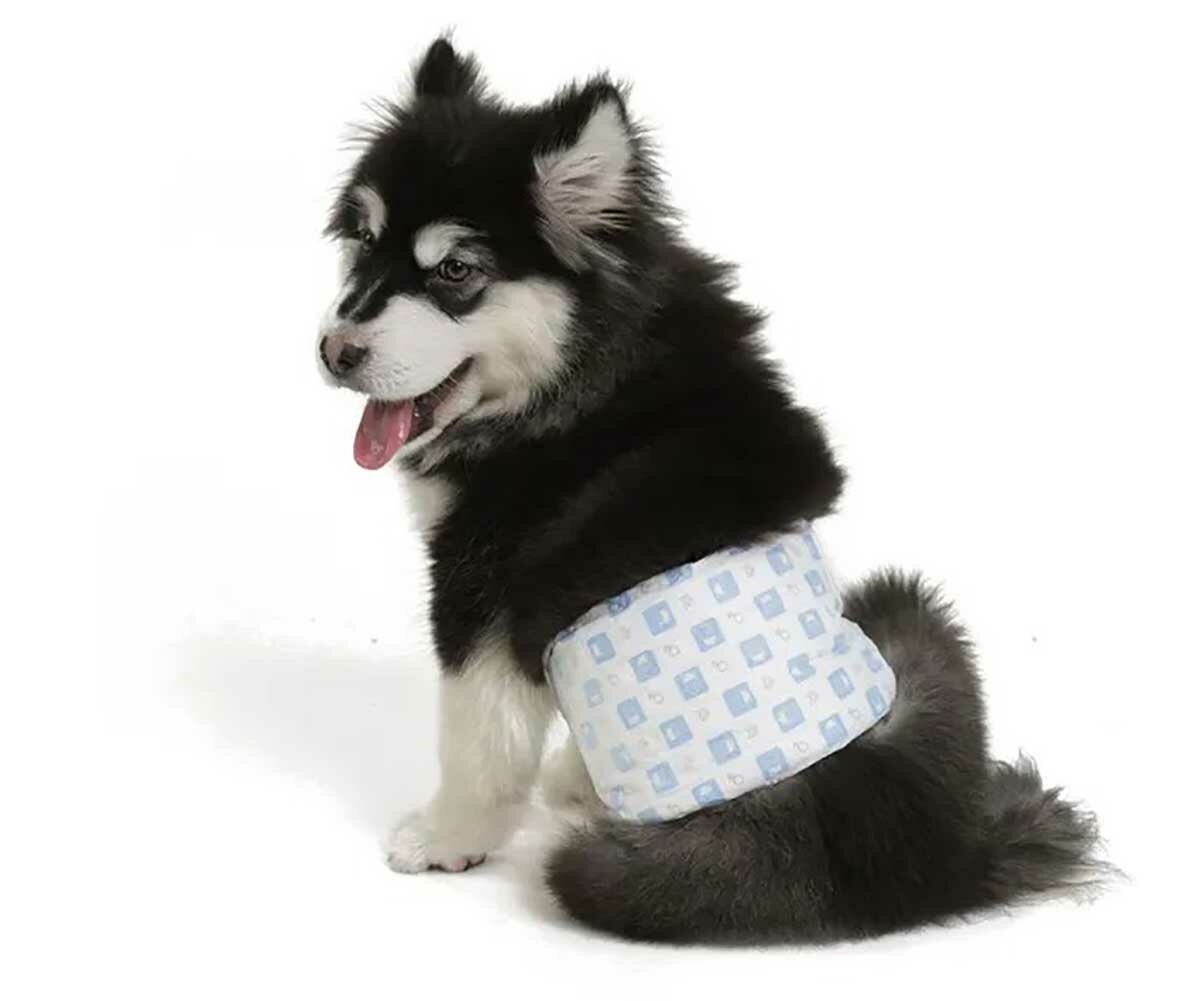 Подгузники Fofos впитывающие для кобелей l 25-50см 8шт dcf18575