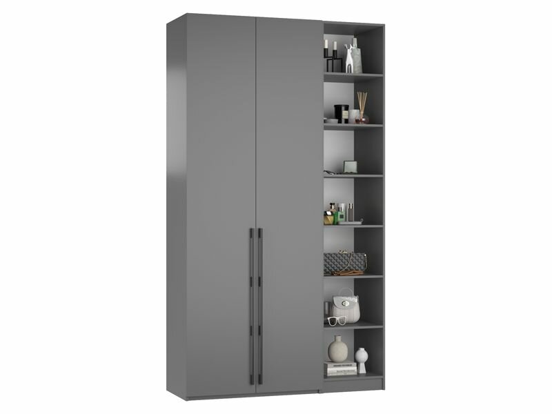 Шкаф распашной для одежды "Морган 8.1 П21074" 135х240х50 Серый графит