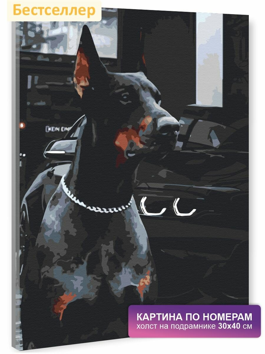 Картина по номерам на холсте с подрамником 30х40 см. Природа, животные, рыбы, птицы. Собаки, щенки. "BMW и доберман", арт. 3549/