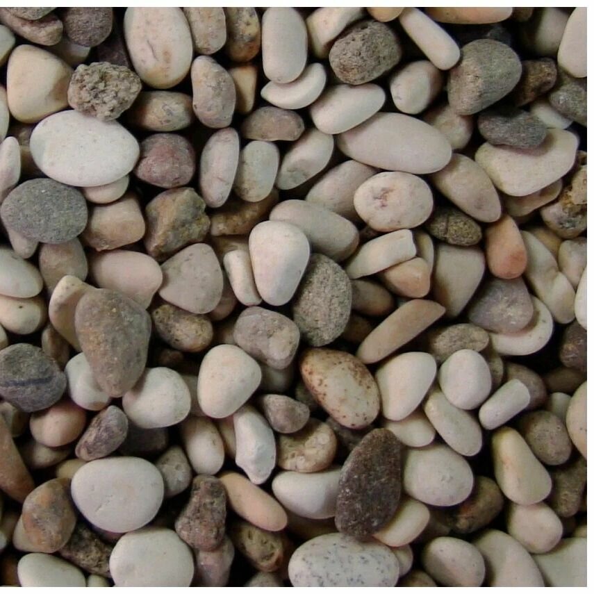 Bestmineral Галька морская светлая №3 (10-15 мм.) с ракушкой (5 кг)