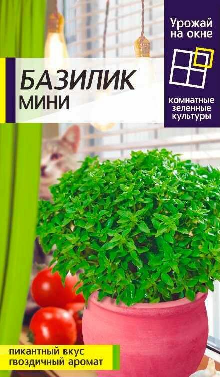 Семена Базилик Мини