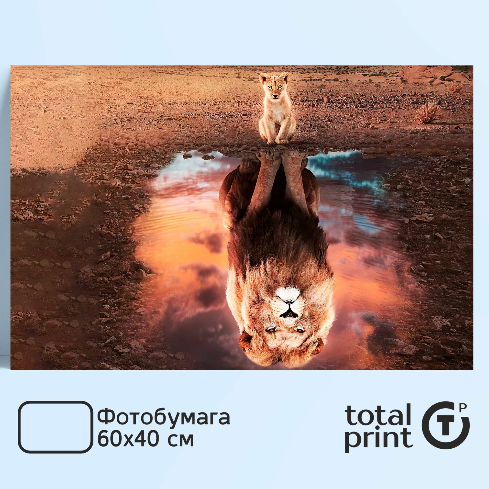 TotalPrint Постер для интерьера, Король Лев, 60х40см.