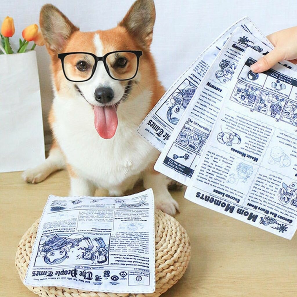 Игрушки для домашних животных, собаки, бумажные пищалки, газеты