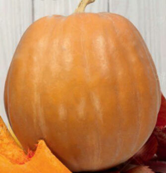 Семена тыквы Мускатное Сердце (до 2,5-4 кг) 2 гр.