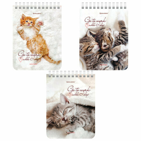 Блокнот малый формат А6 108х145 мм, 40 л, гребень, картон, клетка, BRAUBERG, "Милые котята", 114391