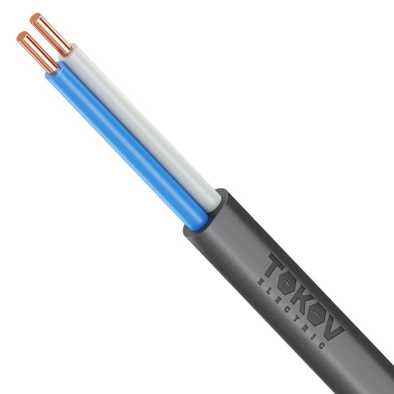 Кабель TOKOV ELECTRIC ВВГ-Пнг(А)-LS 2х10 ОК (N) 0.66кВ (м), TOKOV ELECTRIC КПП УТ000028389 (1 м.)