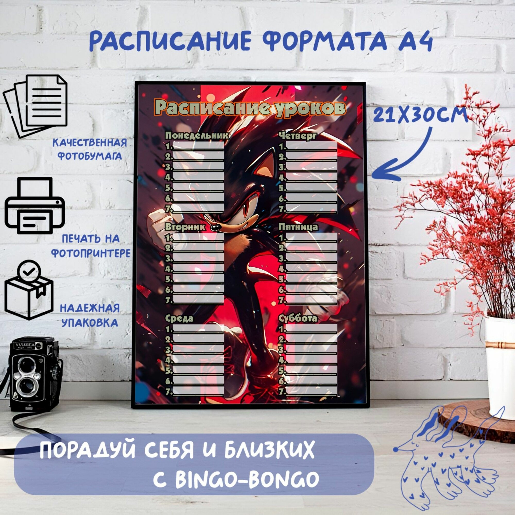 Расписание уроков формата А4, с принтом Соник
