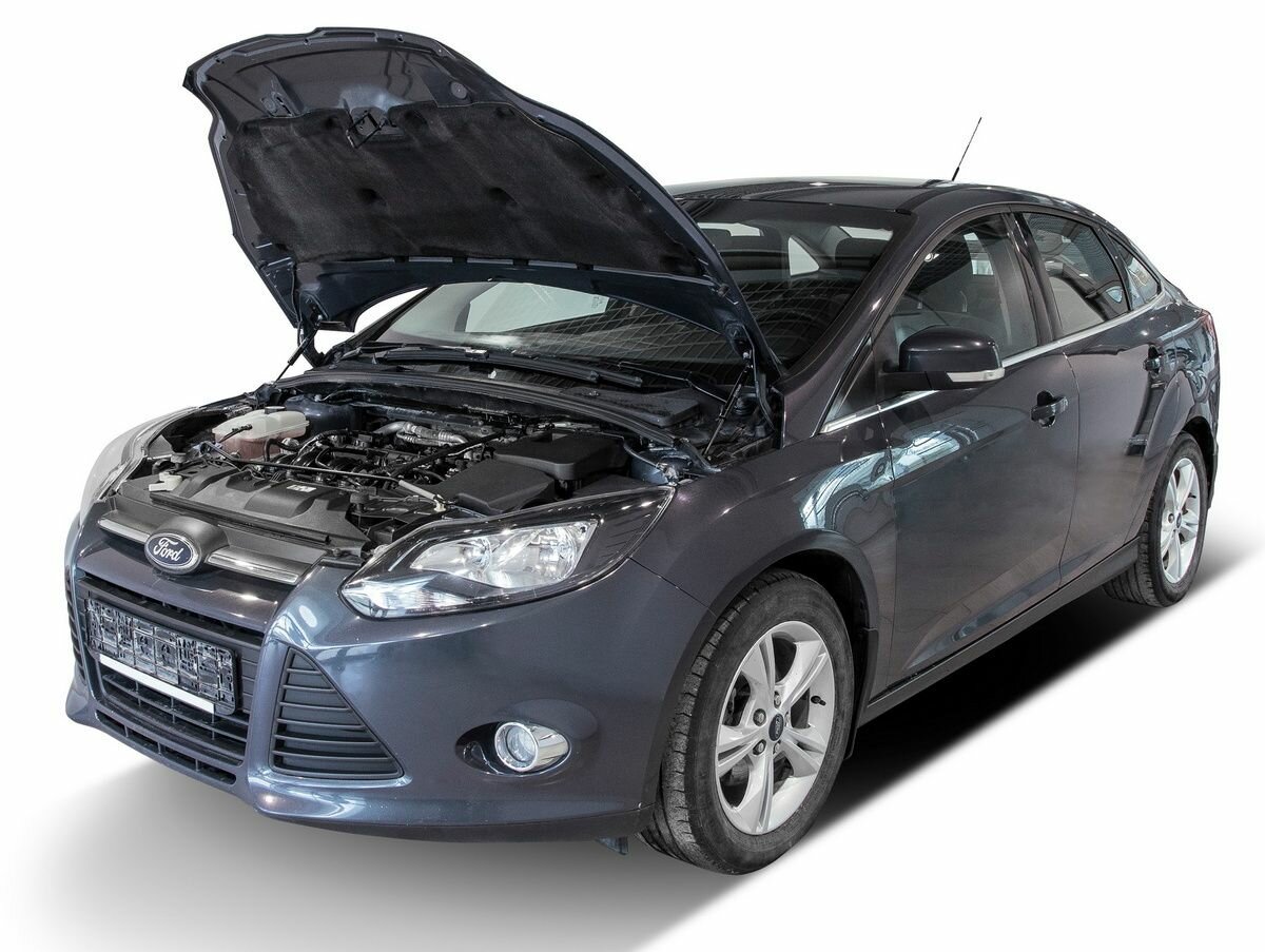 Газовые упоры капота АвтоУпор для Ford Focus III 2011-2019, 2 шт, UFDFOC021