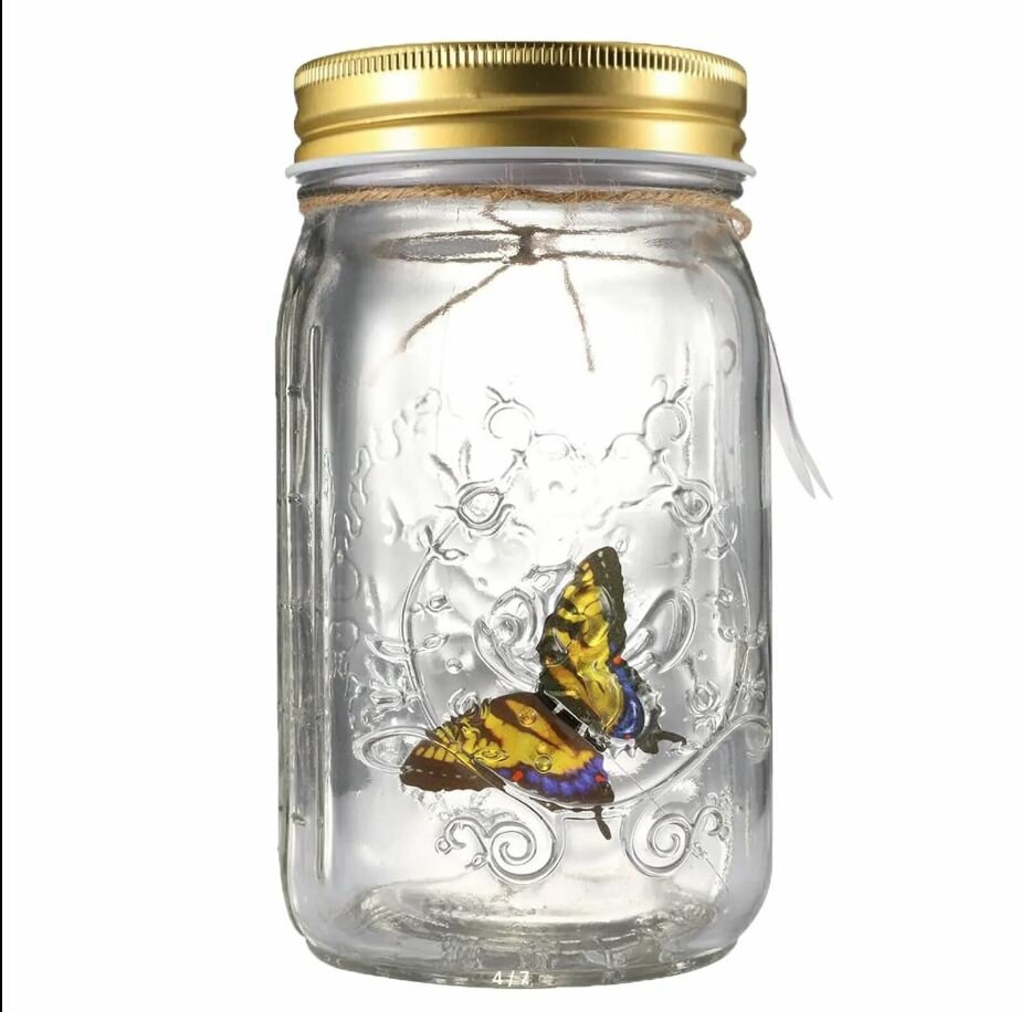 Бабочка в банке с подсветкой