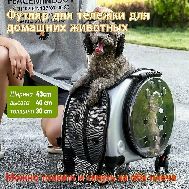 Переноска для кошек/Можно носить на обоих плечах/Серебро