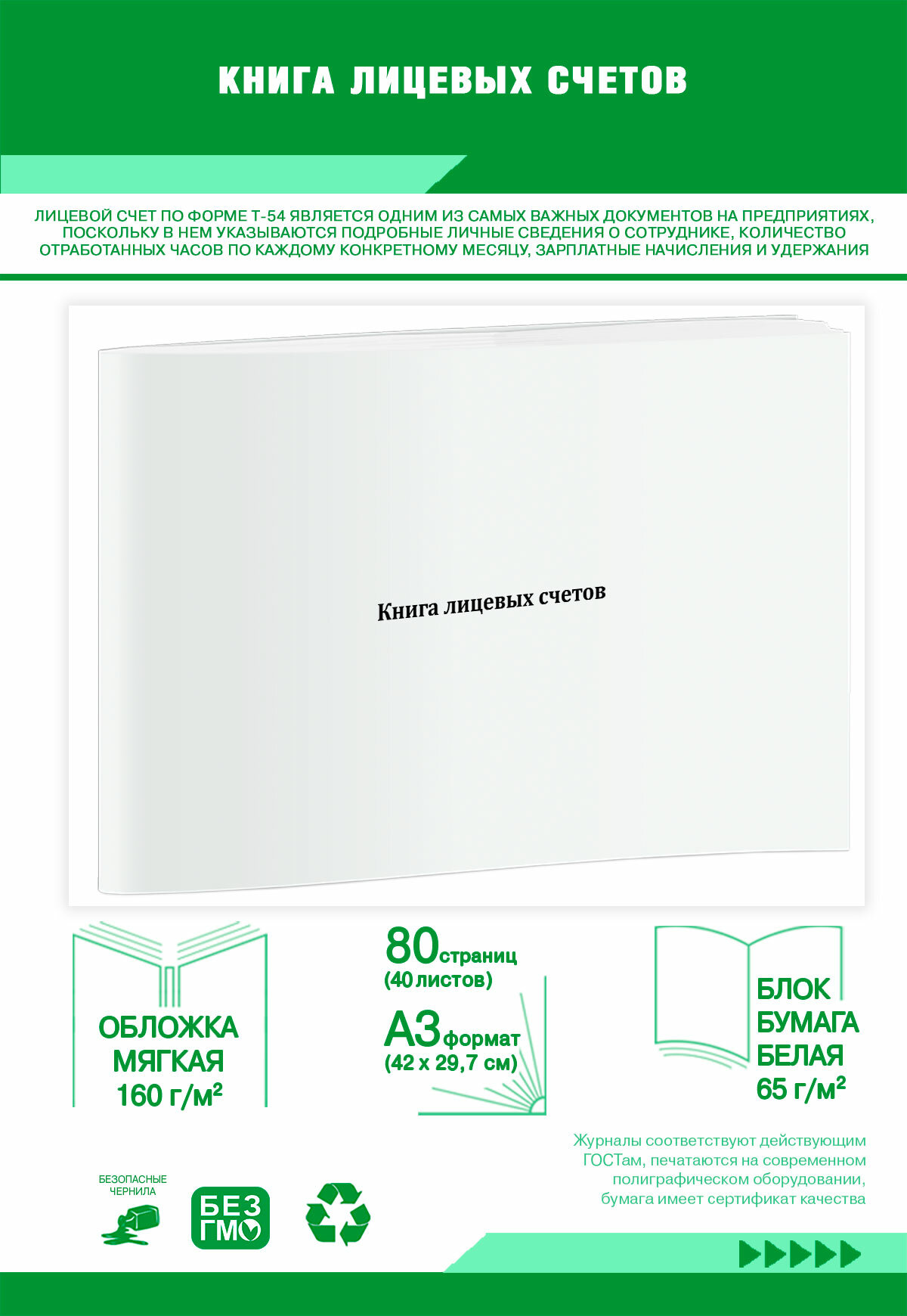 Книга лицевых счетов (формат А3) 80 страниц