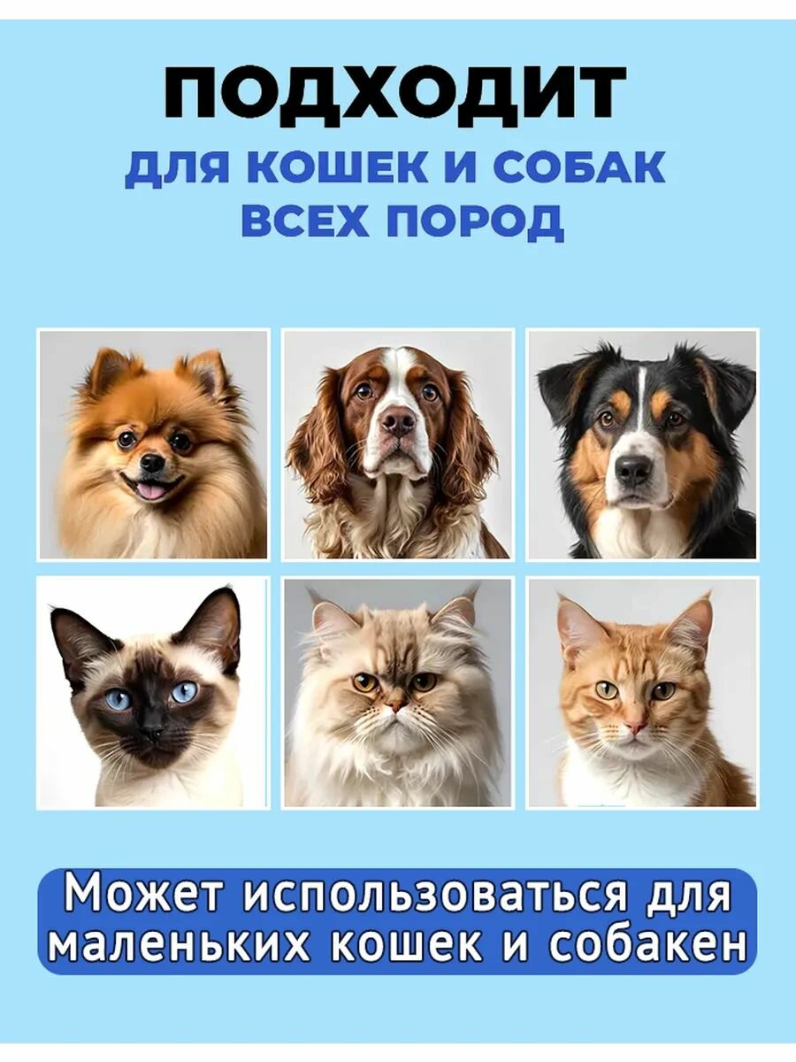 Спрей для лечения кожных заболеваний собак используется при зуде, 100 мл.