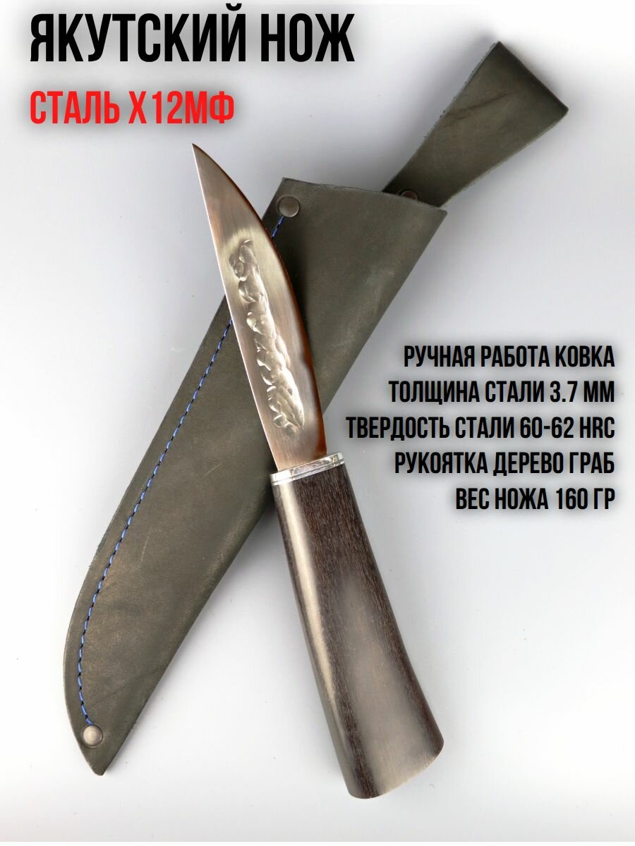 Якутский нож из стали х12мф"Таежный". рукоять черный граб, кожаные ножны, для охоты и рыбалки.
