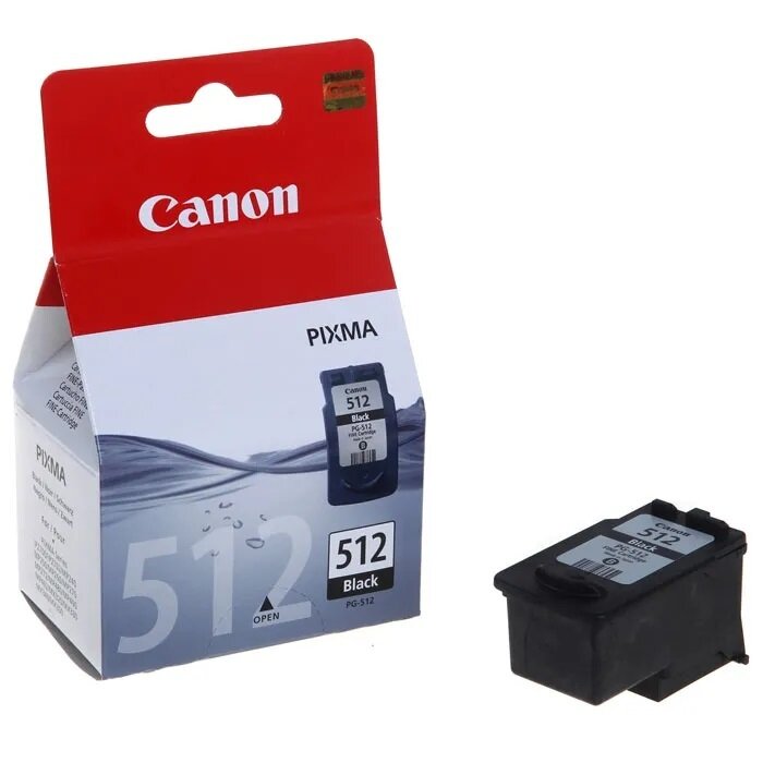 Картридж для струйного принтера Canon PG-512 (2969B007) черный