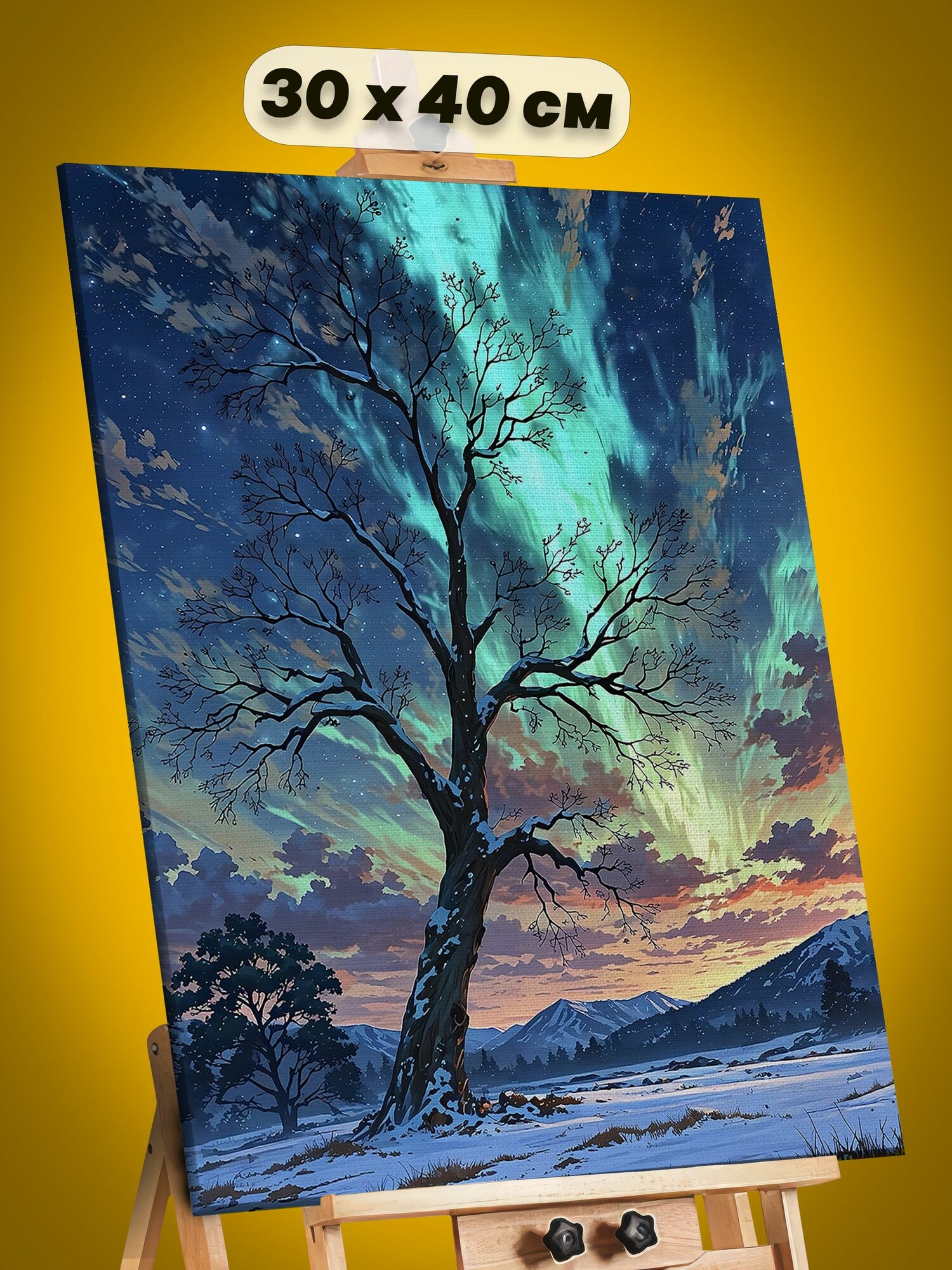 Картина на стену Пейзаж зимний природа северное сияние 30x40
