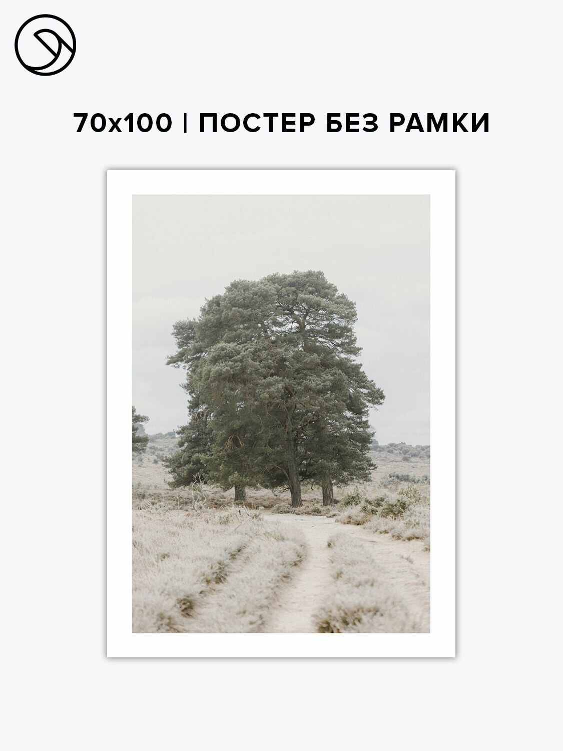 Постер на стену Postermarkt Дорога к Дереву, 70х100 см
