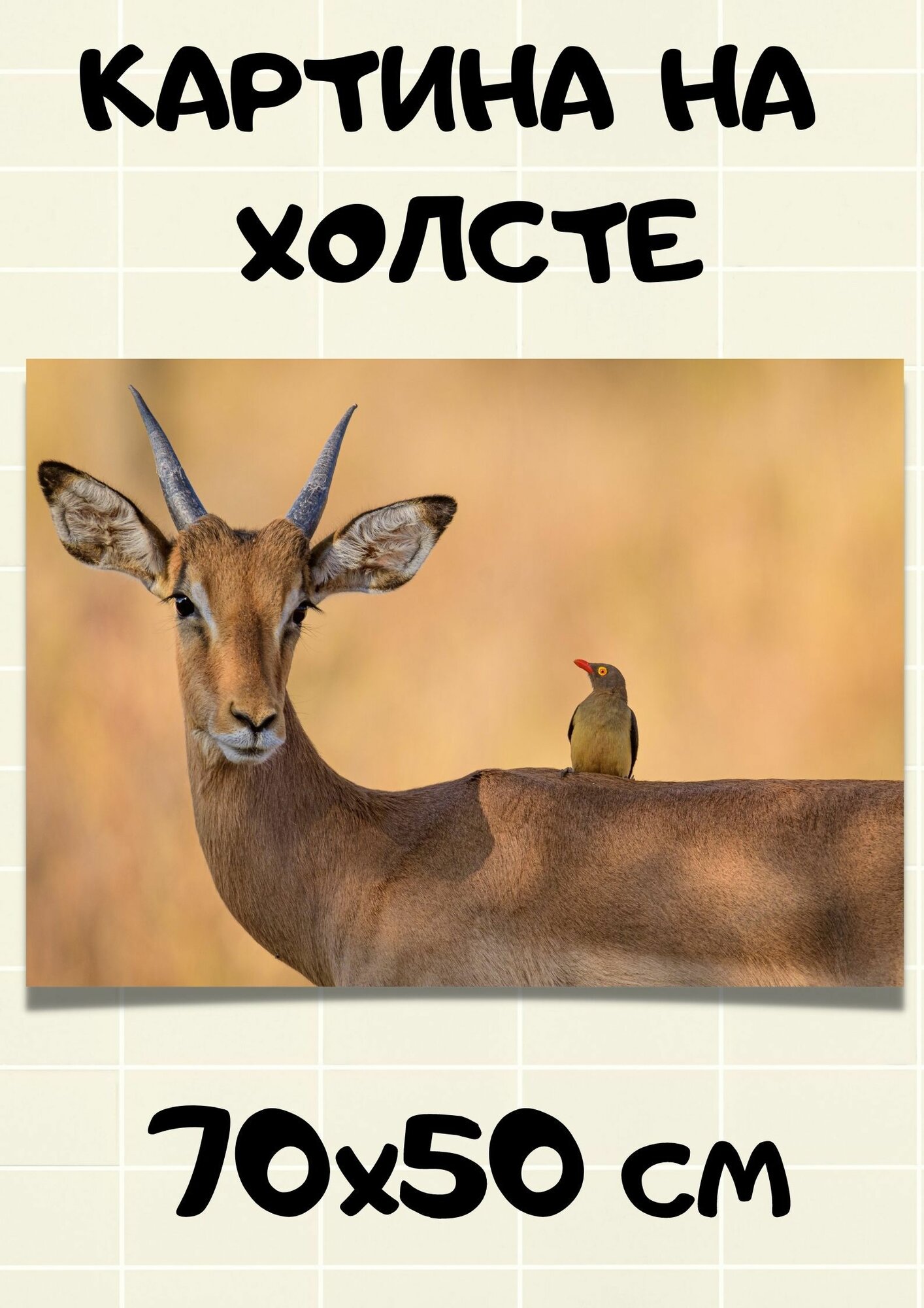 Картина с дикими животными "Олень и птичка" 70х50 см