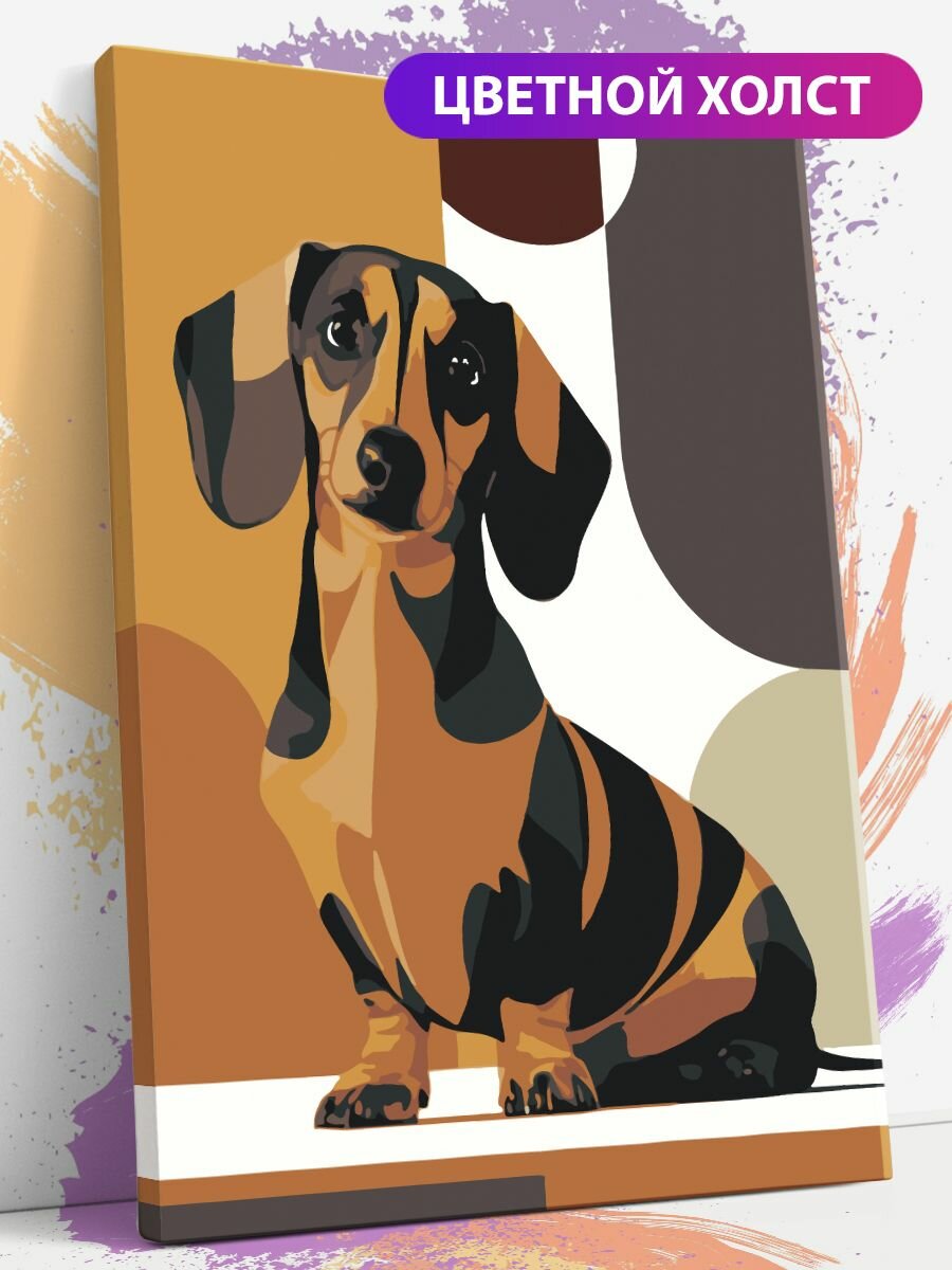 Картина по номерам на холсте с подрамником "Такса. Собака", 30х40 см