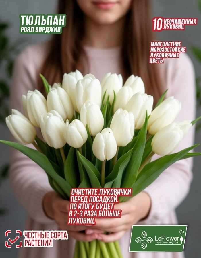 Тюльпан Роял вирджин 10 луковиц (LeFlower)