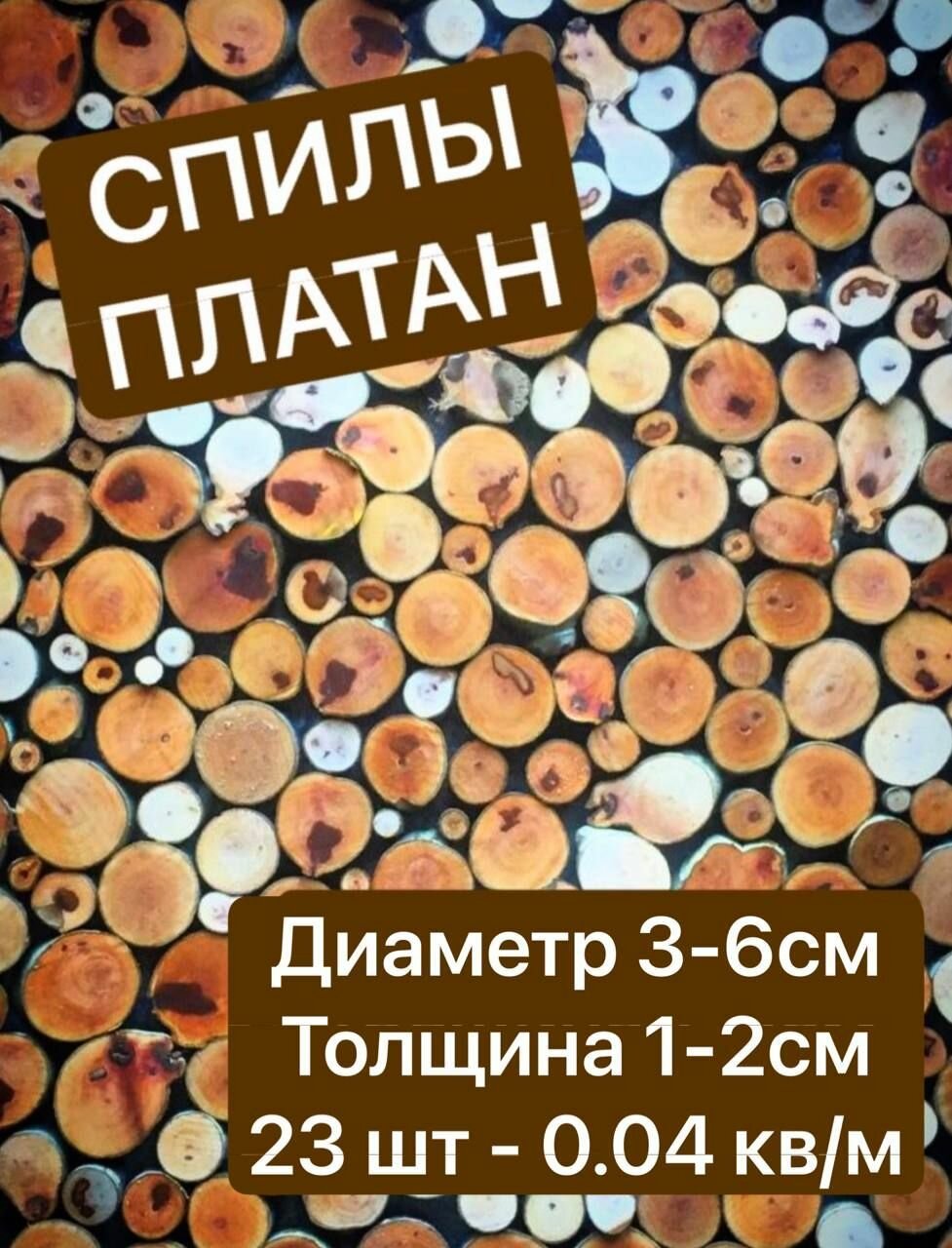 Спилы Платана для творчества, диаметр 3-6 см, толщина 1-2 см, 23шт
