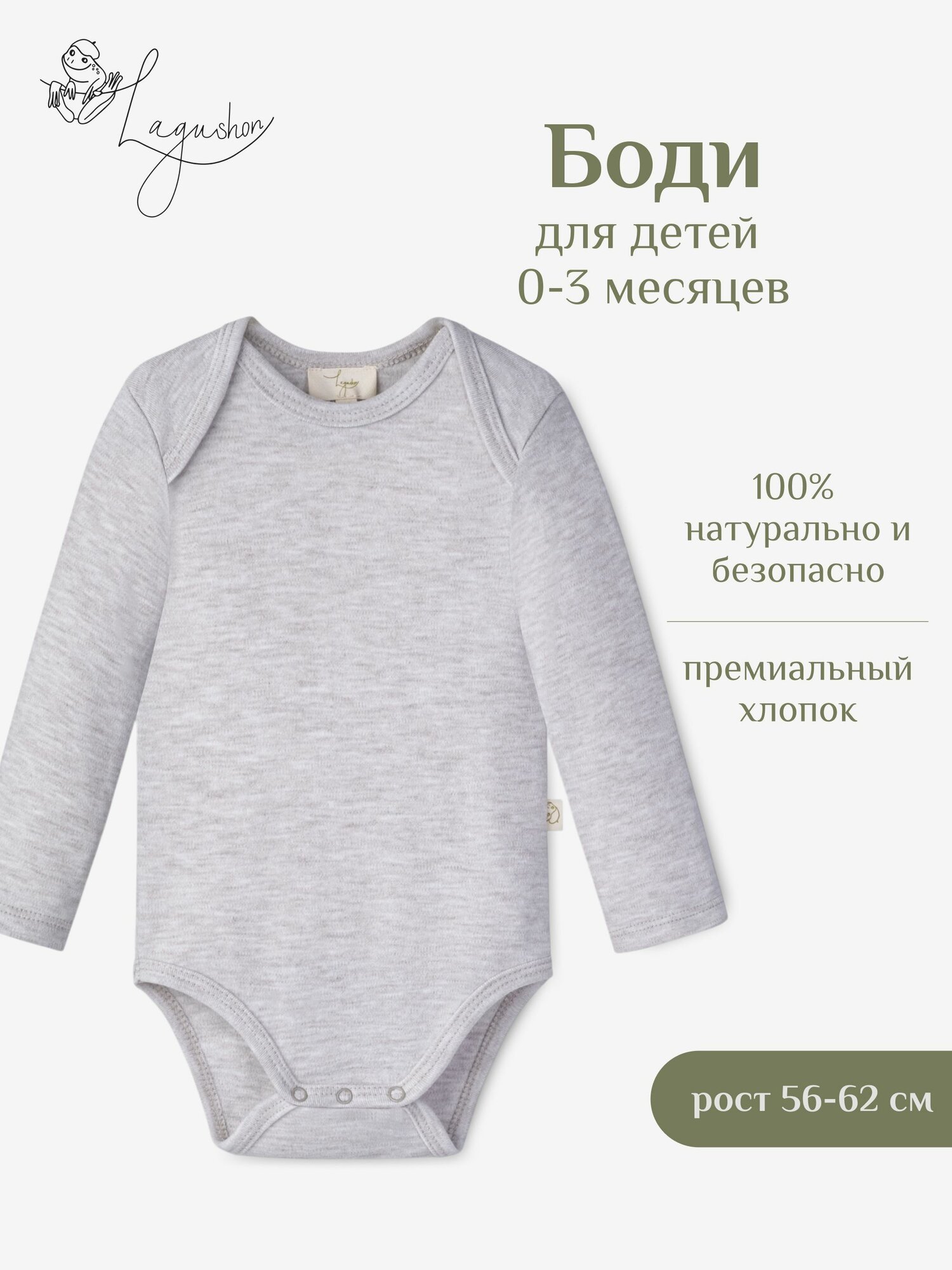 Боди