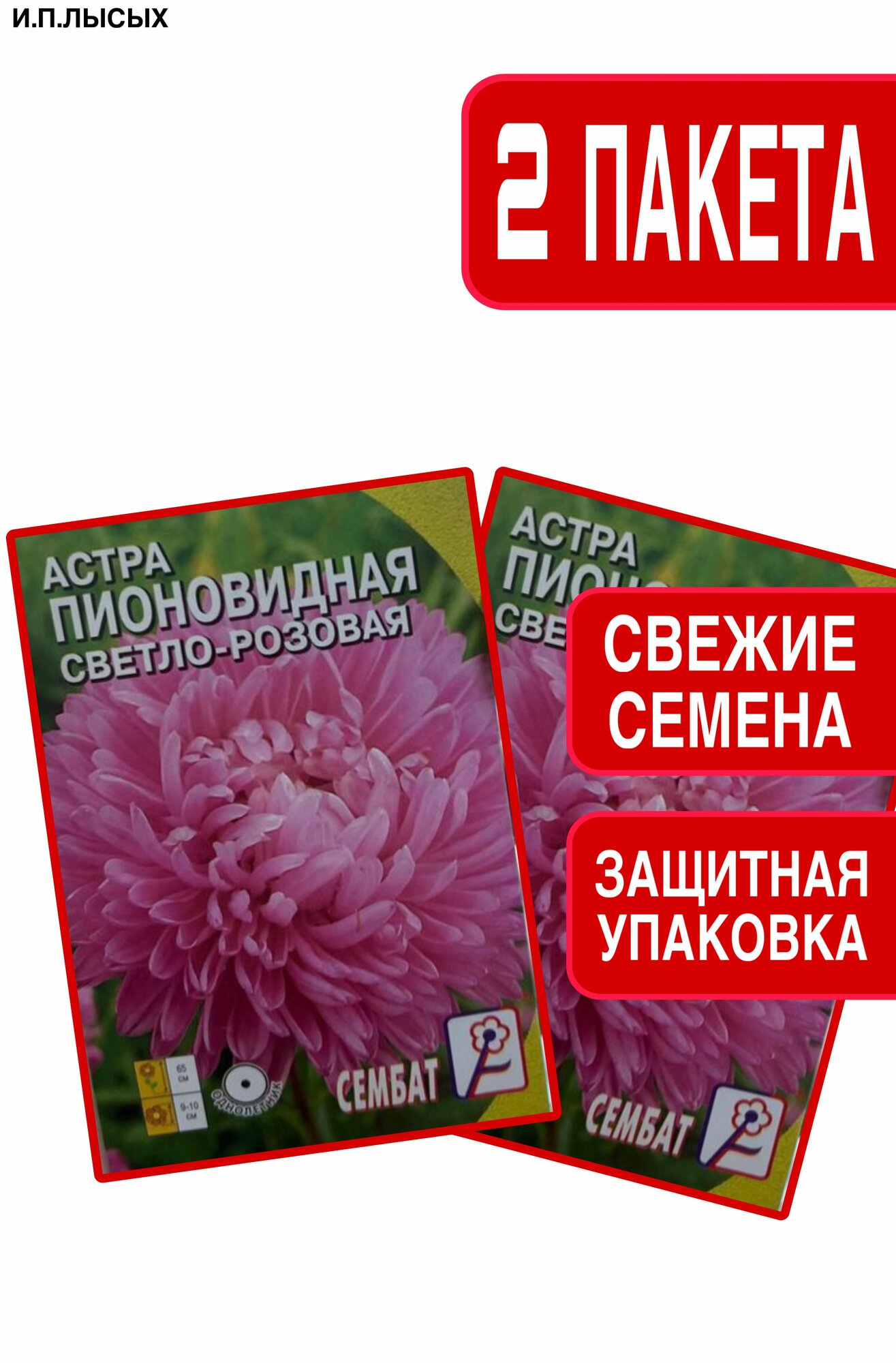 Семена Астра Пионовидная "Светло-Розовая"