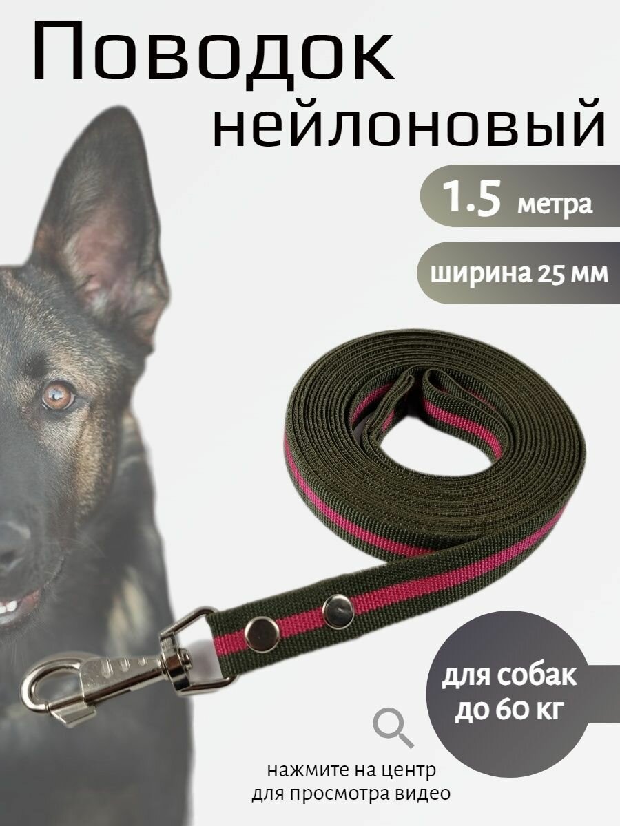 Поводок Хвостатыч для собак с карабином нейлон 1.5 м х 25 мм (зелено-красный)