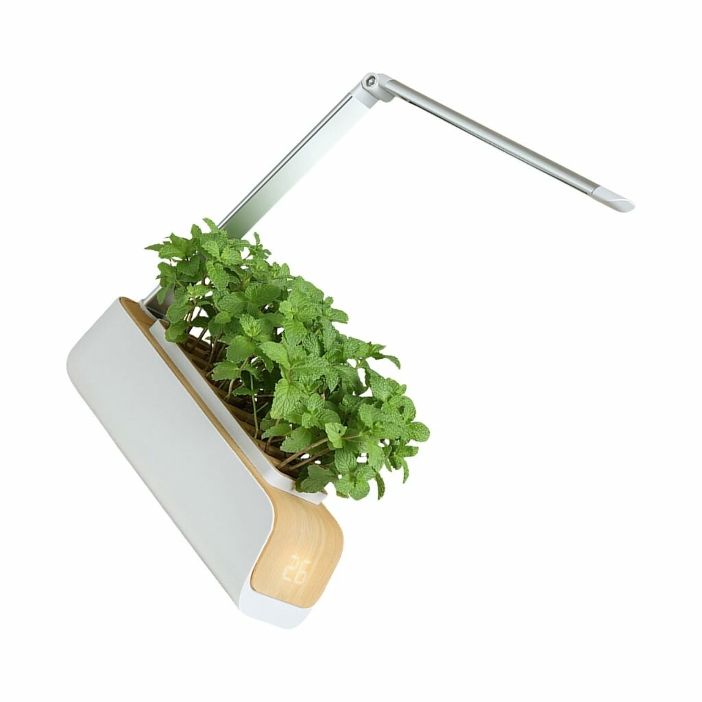 Гидропонный умный садовый плантер