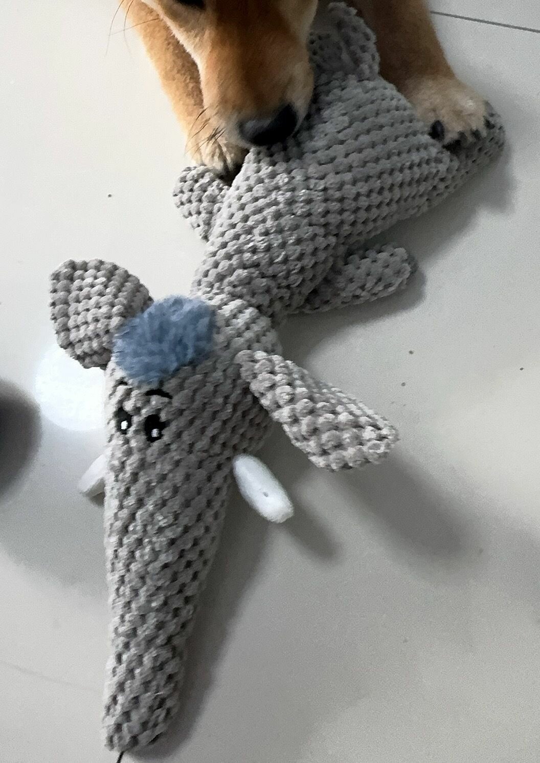 Игрушка для снятия стресса, мягкая, для собак, серая, биотан