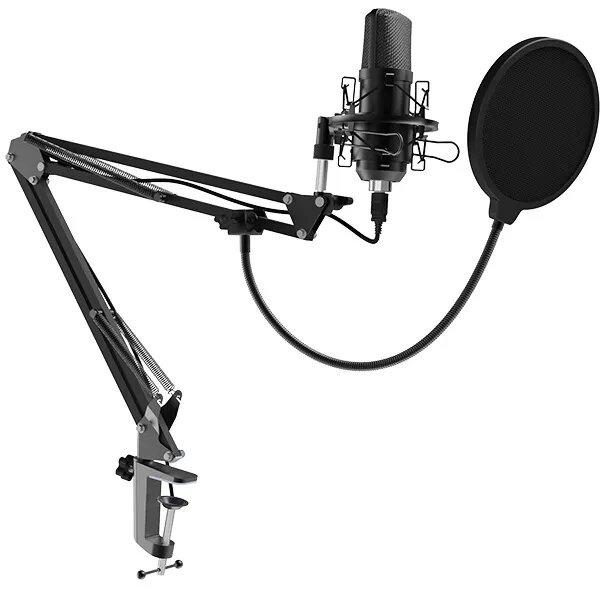 Микрофон Ritmix RDM-169 USB Black