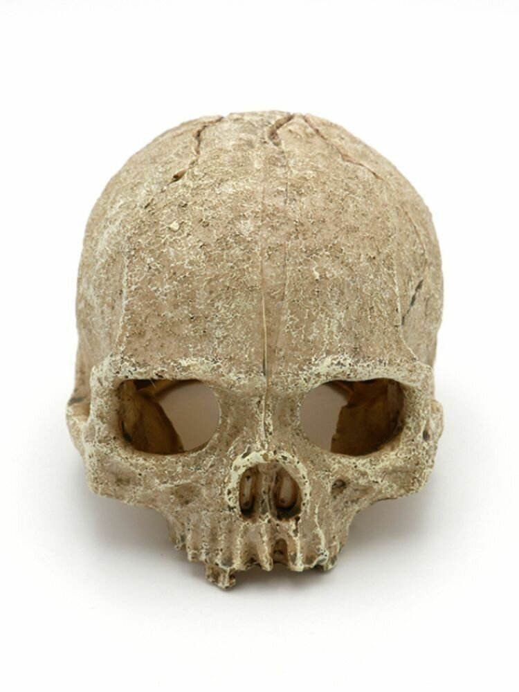 Декорация для аквариума