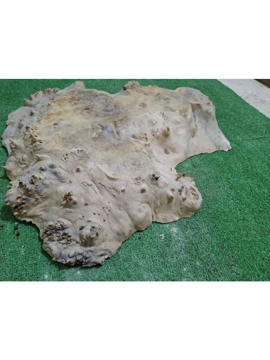 Слэб массив Каповый тополь (660-610-80мм)