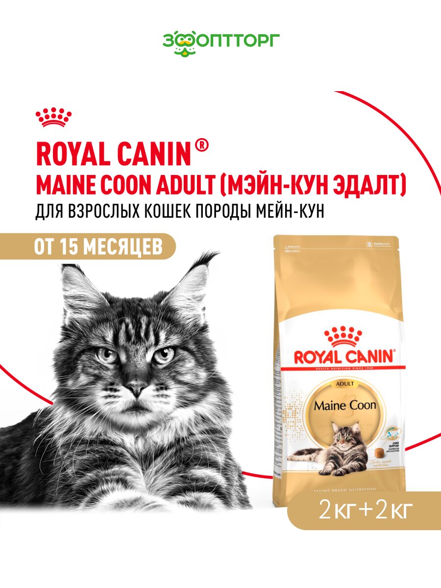 Сухой корм Royal Canin Maine Coon Adult для кошек породы мейн-кун Птица, 2 кг х 2 шт.