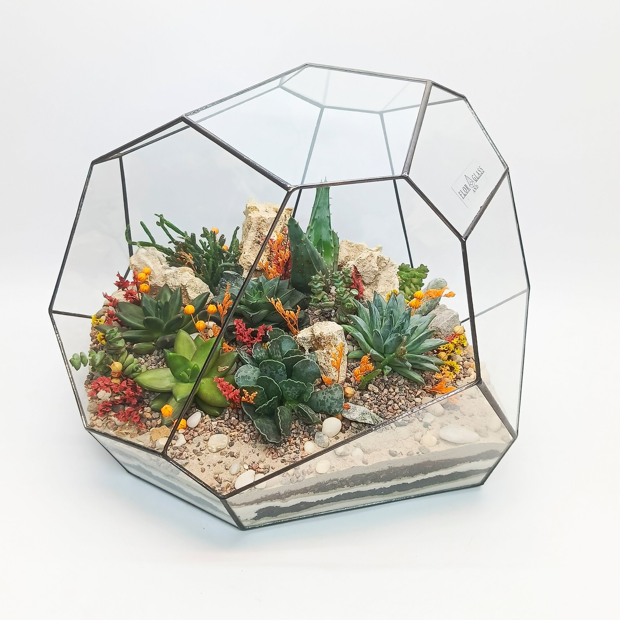 Флорариум с суккулентами Гранат 31х24см