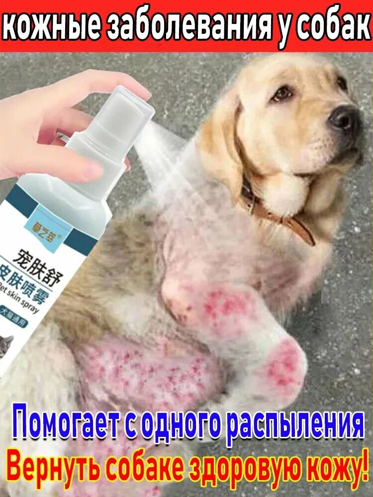 Спрей от стригущего лишая для кошек и собак , 100 мл, для ухода за кожей домашних животных, наружное применение