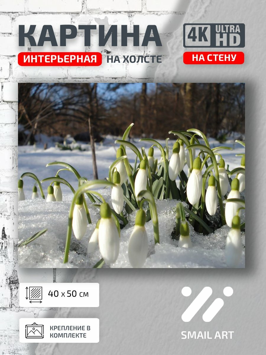 Картина на холсте интерьерная 40 на 50 на стену Цветы Landscape для гостиной пейзаж декор