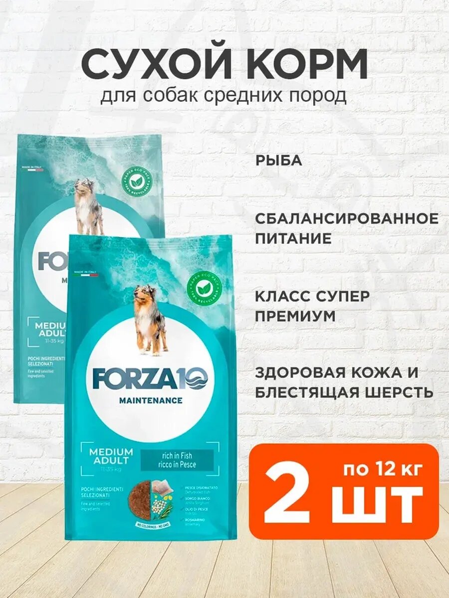 Корм сухой Forza10 Dog Maintenance Adult Medium для взрослых собак средних пород с рыбой, 12 кг х 2 шт