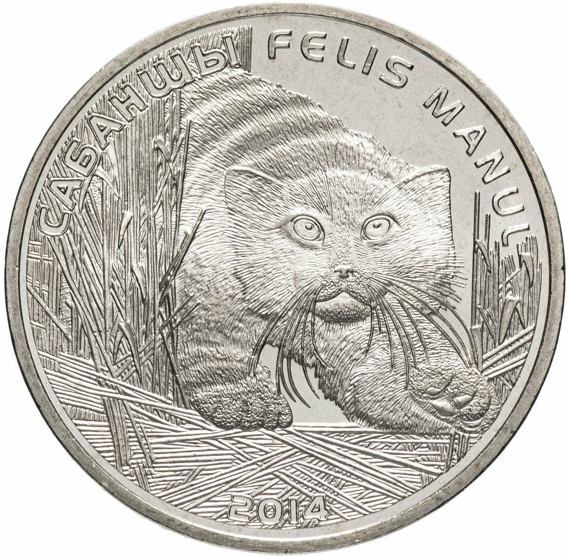 Казахстан 50 тенге 2014 "Красная книга - Манул", МНЦ медь-никель-цинк, в сохранности AU-UNC