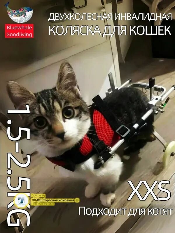 Кошачья инвалидная коляска. Двухколесная реабилитационная коляска для кошек. Подходит для домашних животных с проблемами задних лап и полным параличом. Код XXS.