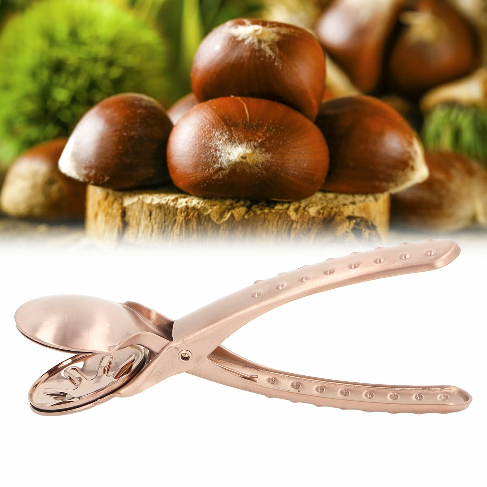 Инструмент для резки каштана из нержавеющей стали