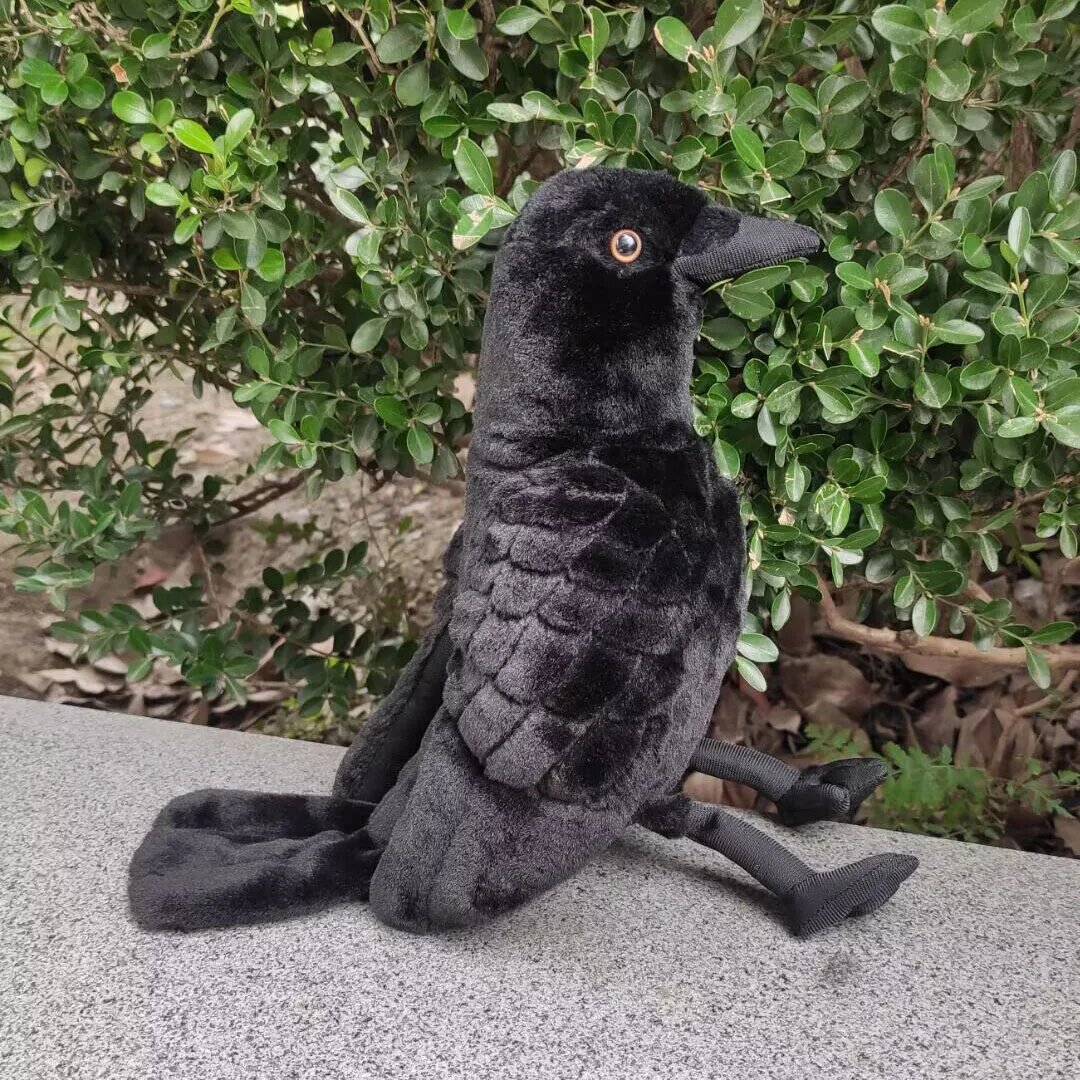 Имитация животного Ворона Corvus Validus Black Bird Ravens Jackdaw Wild Nature Модель зоопарка Плюшевая игрушка Мягкая кукла Девушка Мальчик Друг Подарок