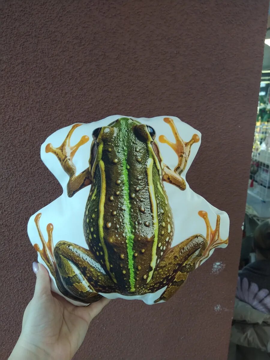 Декоративная подушка Персиковая Панда "Лягушка", велюр, съемная, двусторонняя, 30x35 см