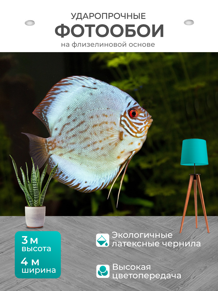 Фотообои моющиеся ударопрочные "Дискус, рыба, аквариум" 400x300 см. флизелиновые на стену
